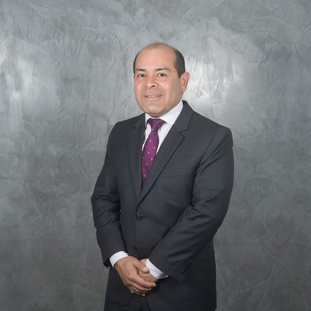 Hector Portugal V. - Estudio de la Flor García Montufar Arata ...